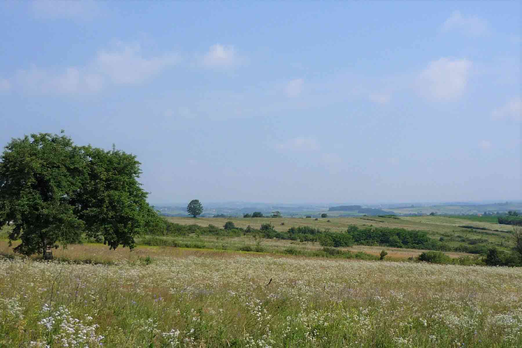 Barajevo - Beogradski izlet