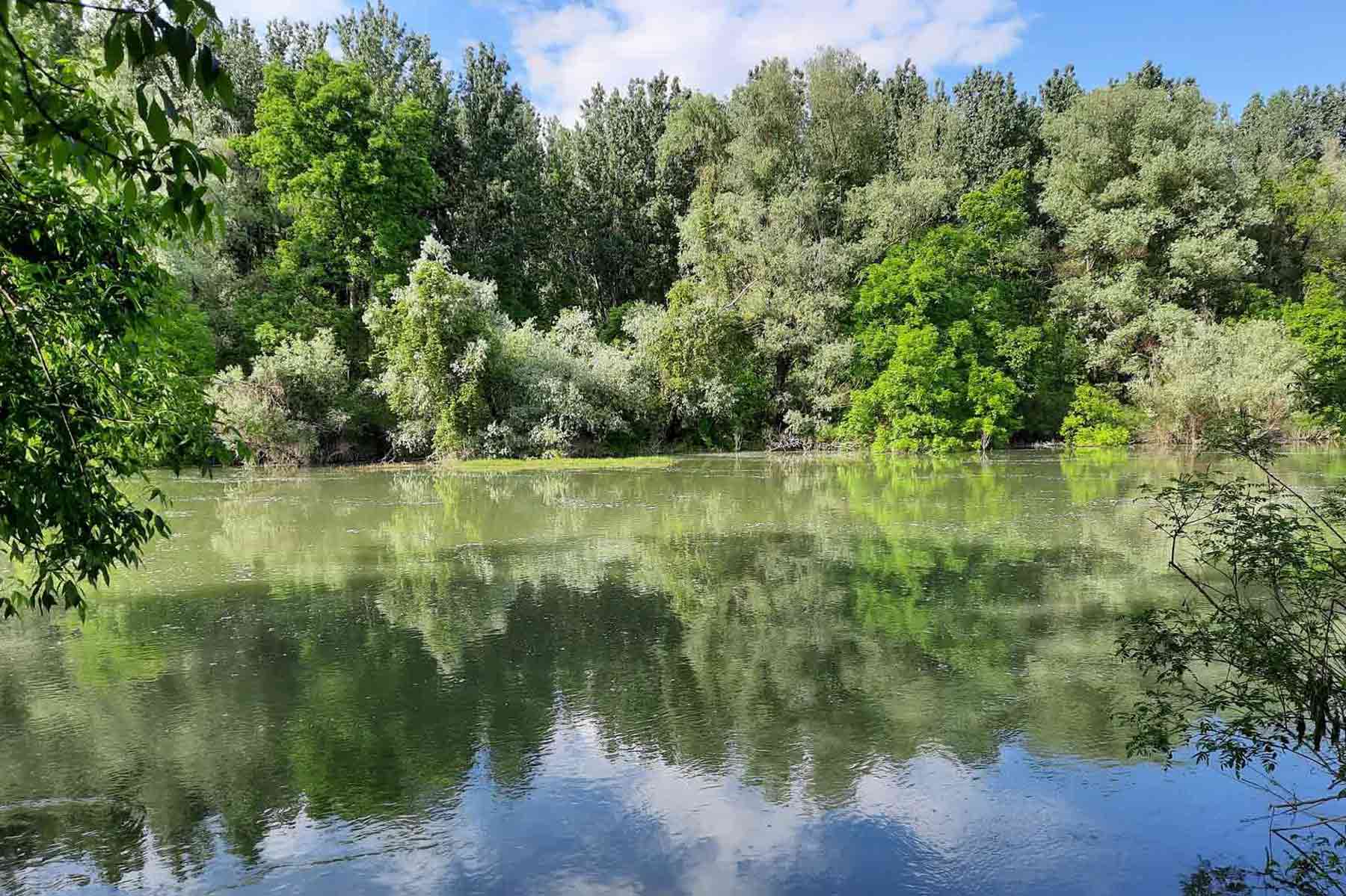 Reka Tamiš – izleti, pecanje i priroda između Beograda i Banata