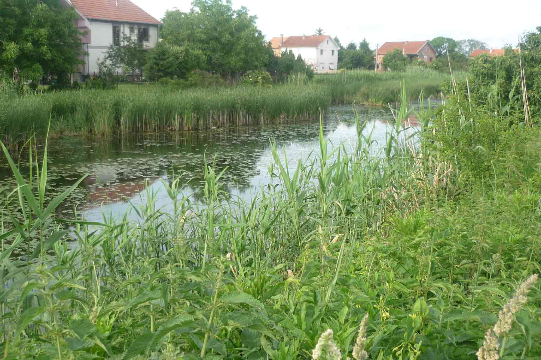 Kanal Sebeš - Beogradski izlet