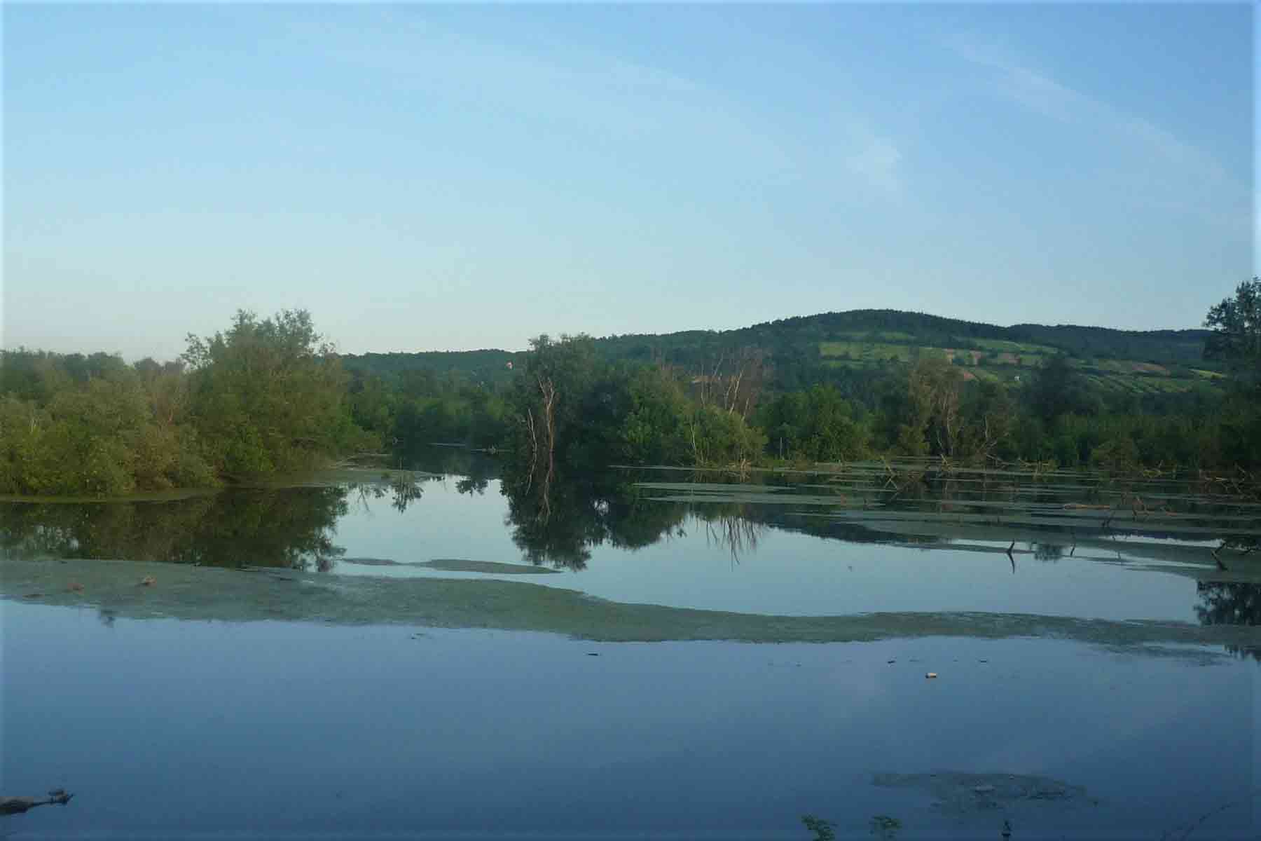 Ilićev (Ovčanski) dunavac - Beogradski izlet