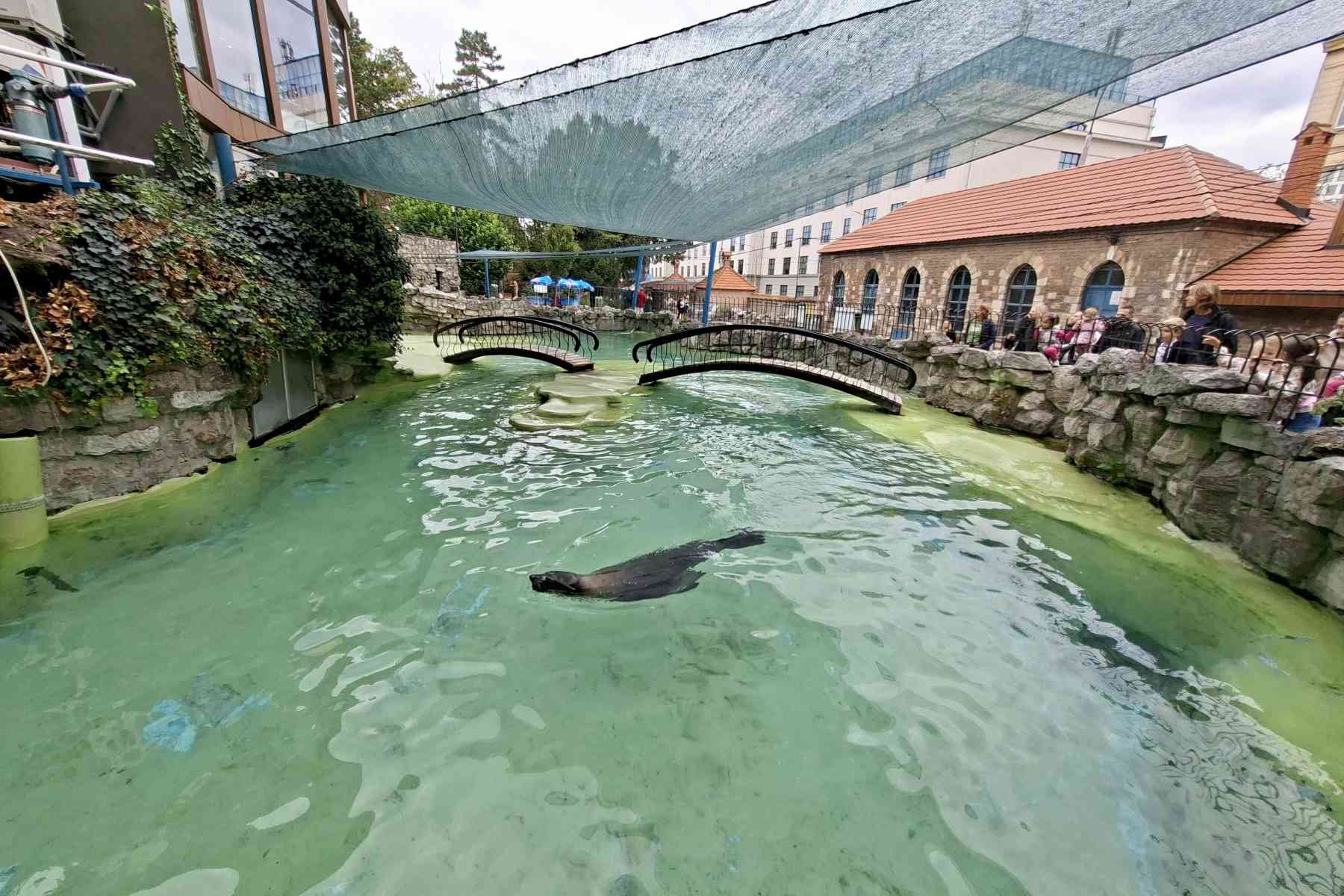 Zoološki vrt Beograd – Saveti za savršen izlet